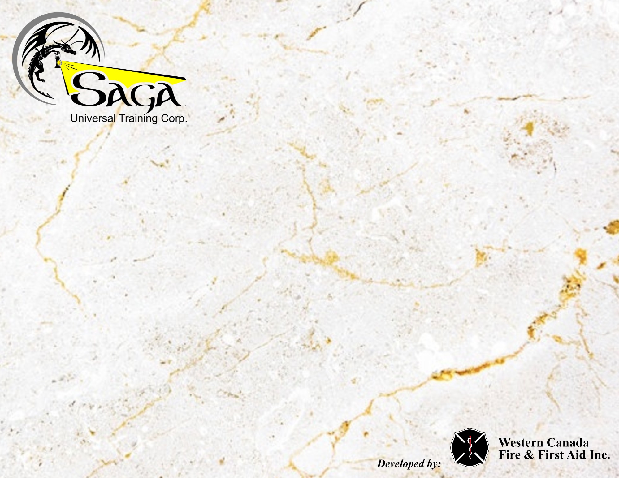 Saga First Aid Certificate – Saga Training